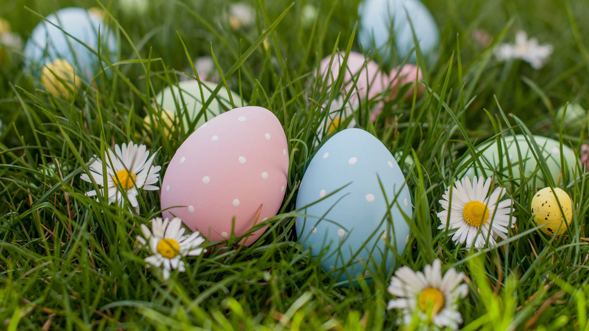Easter Treats – The Root Cellar PEI